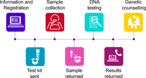 How does screening work? - Genetics Wolper